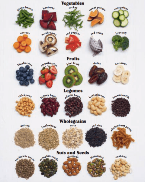 6 principles that will change your life - The Gut Health Doctor